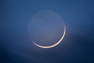 Hilo | He Momi e Lei ai (a pearl to wear as a lei)